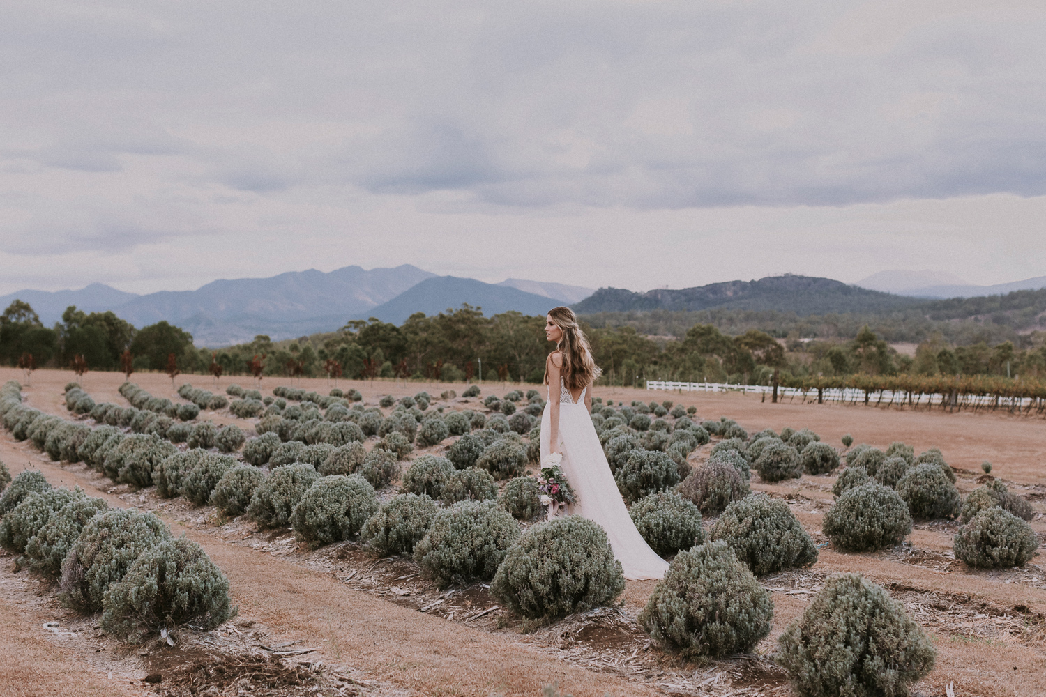 Kooroomba Vineyard & Lavender Farm | Scenic Rim Styled Shoot - Ivory ...