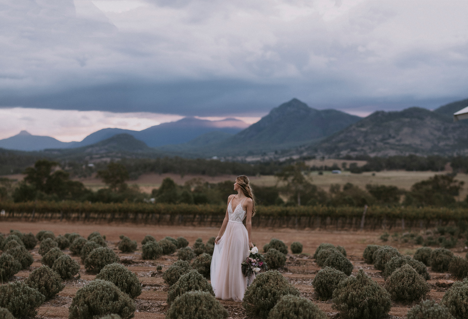 Kooroomba Vineyard & Lavender Farm | Scenic Rim Styled Shoot - Ivory ...