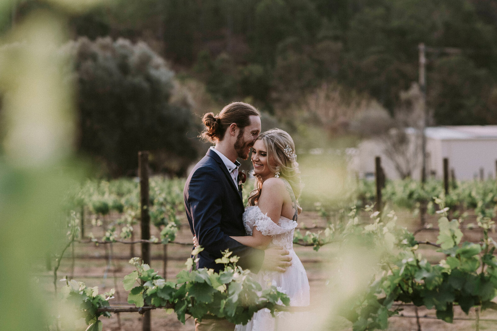 Ally + Kyal | O’Reilly’s Canungra Valley Vineyards Wedding Photography ...