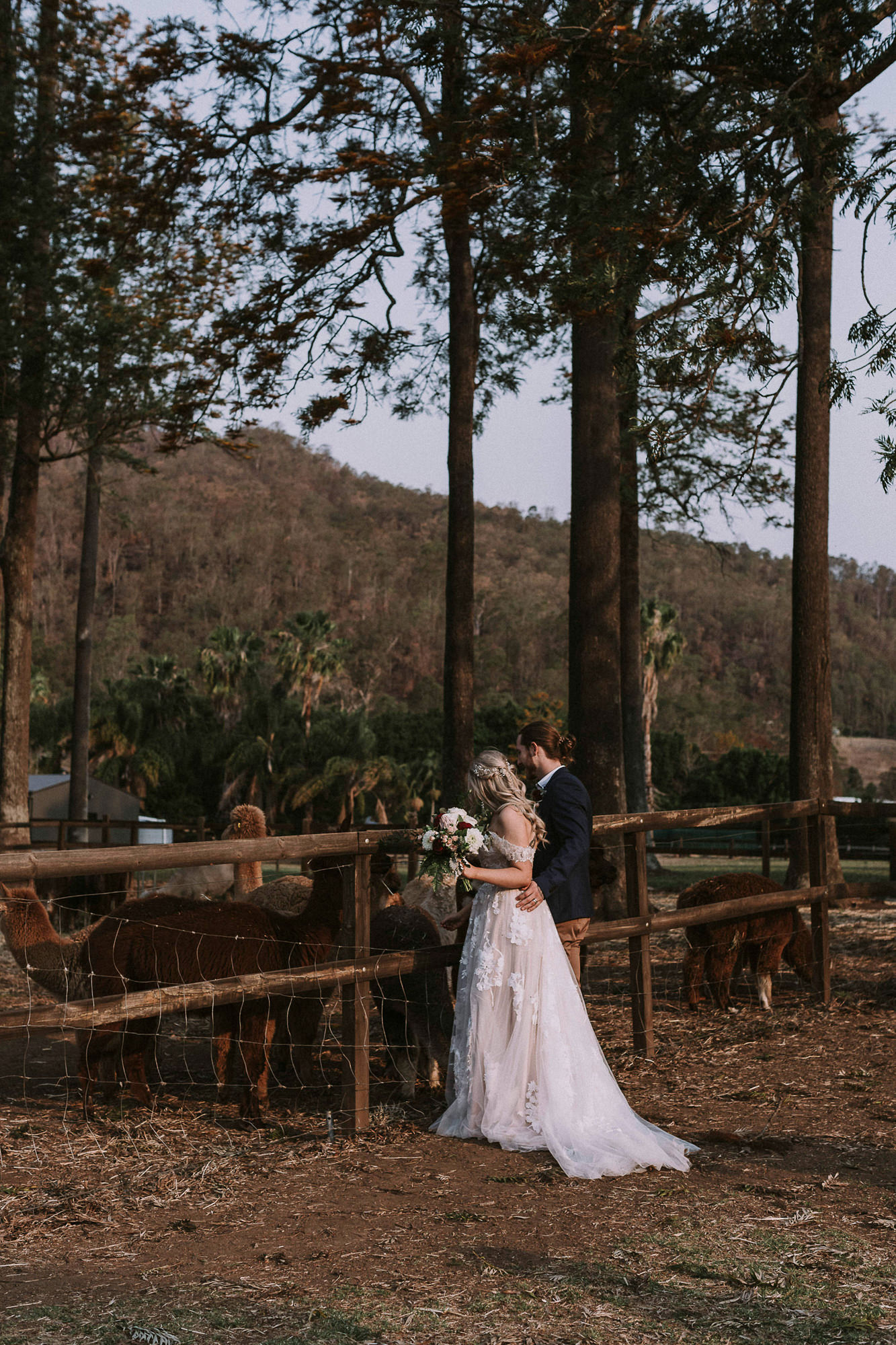 Ally + Kyal | O’Reilly’s Canungra Valley Vineyards Wedding Photography ...